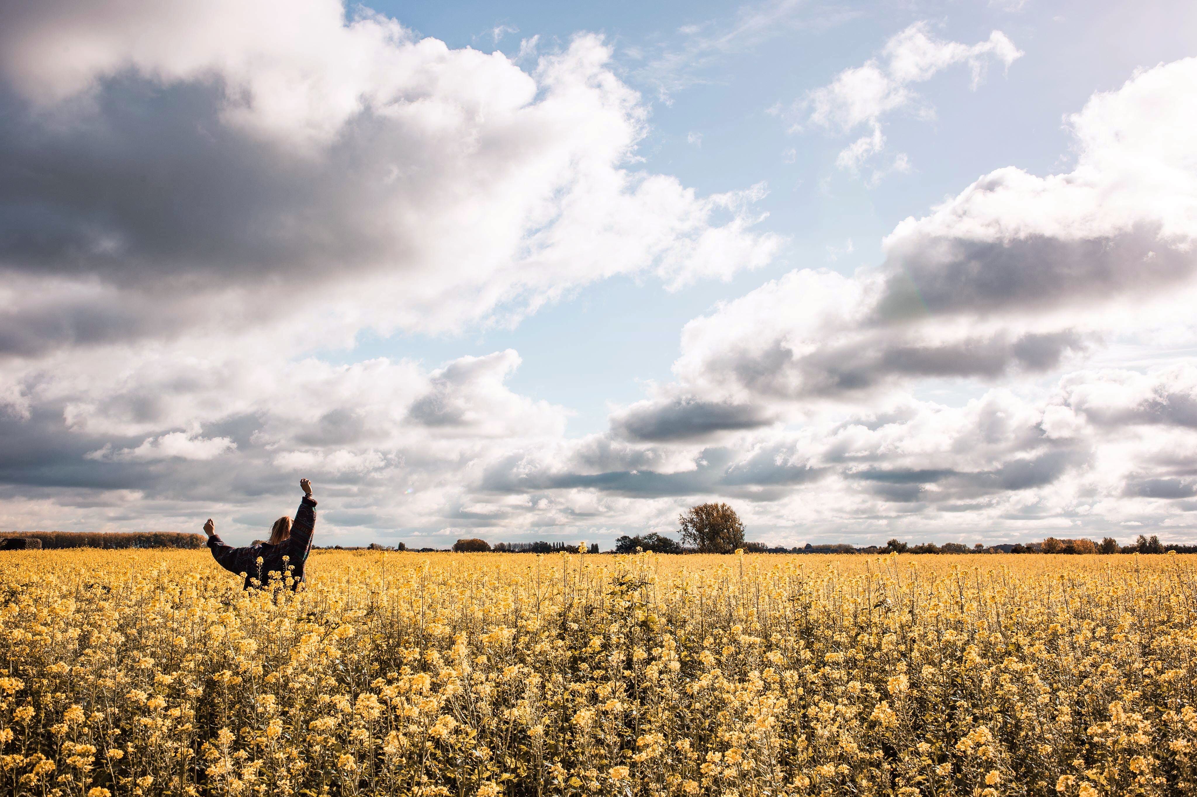 A LOCAL’S GUIDE TO MERELBEKE – Wandermust